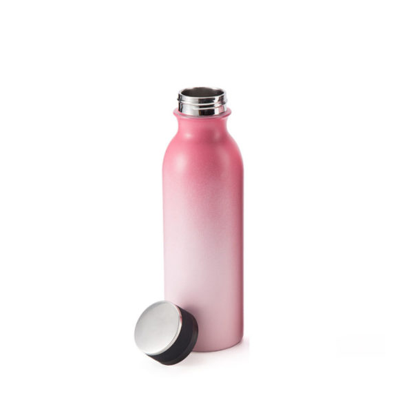 Custom Gradient Powder Coating Stainless Steel Drink Bottle Thermos
